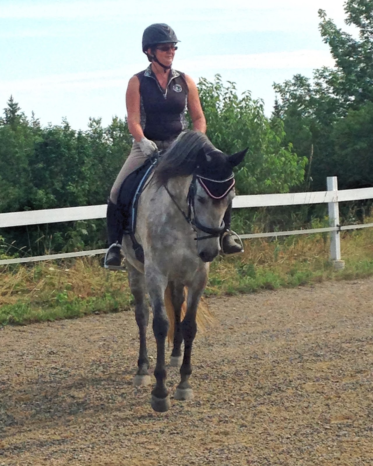 Journey with a Dancing Horse: Riding the Roller Coaster