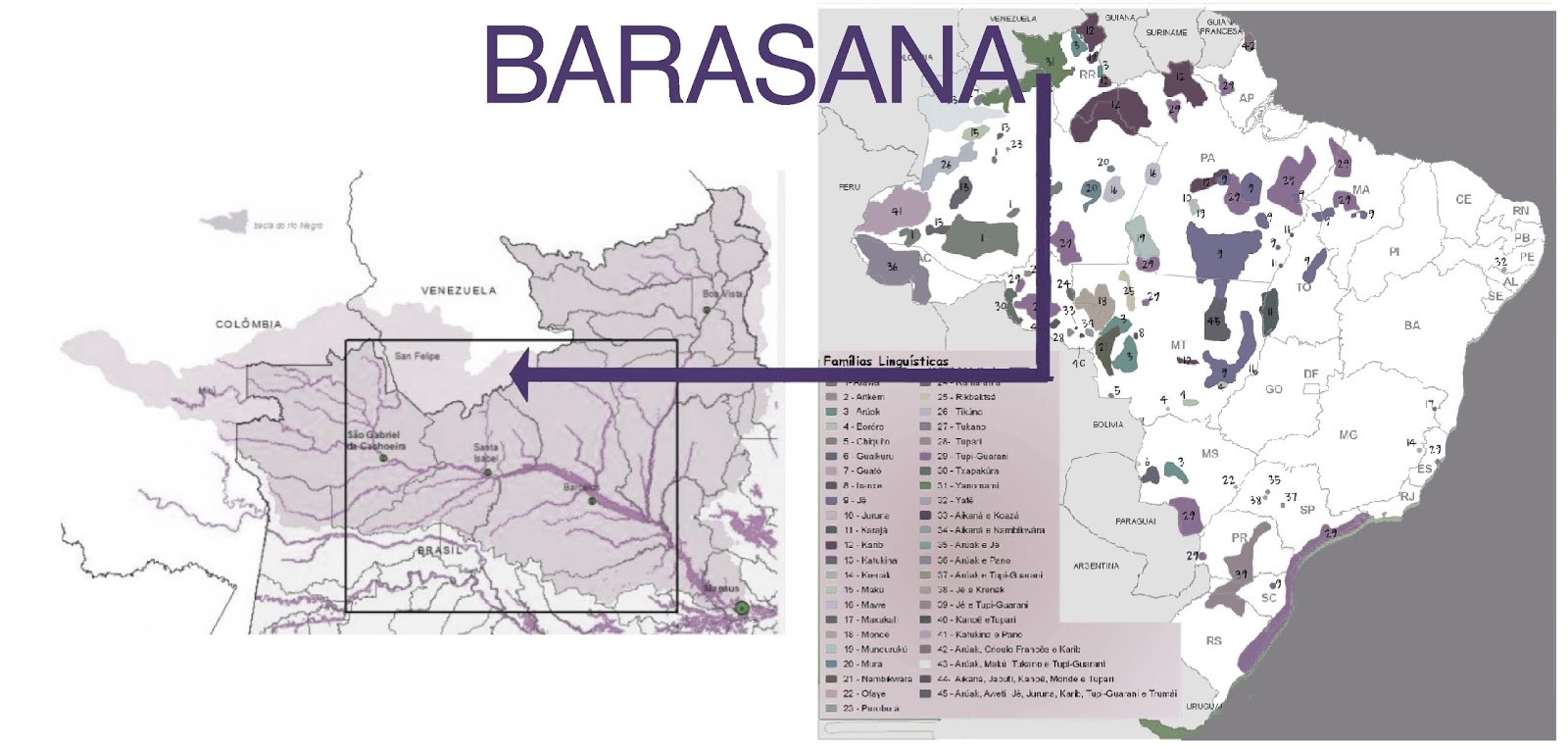 Povos Indígenas Brasileiros: Fevereiro 2016