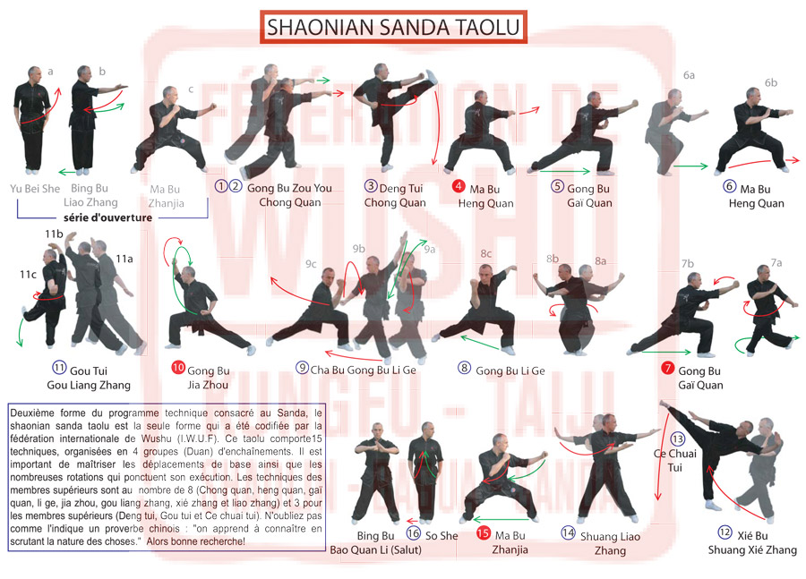 WUSHU: agosto 2015