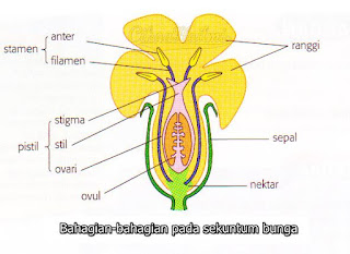 Sains Bab 4-Tingkatan 3
