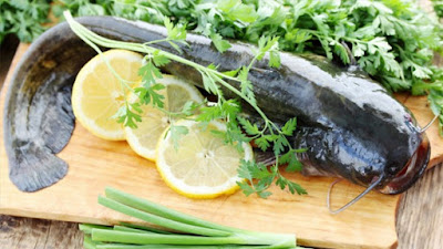 Thefreshfishmarket: What You Need To Know About Fresh Fish Home ...