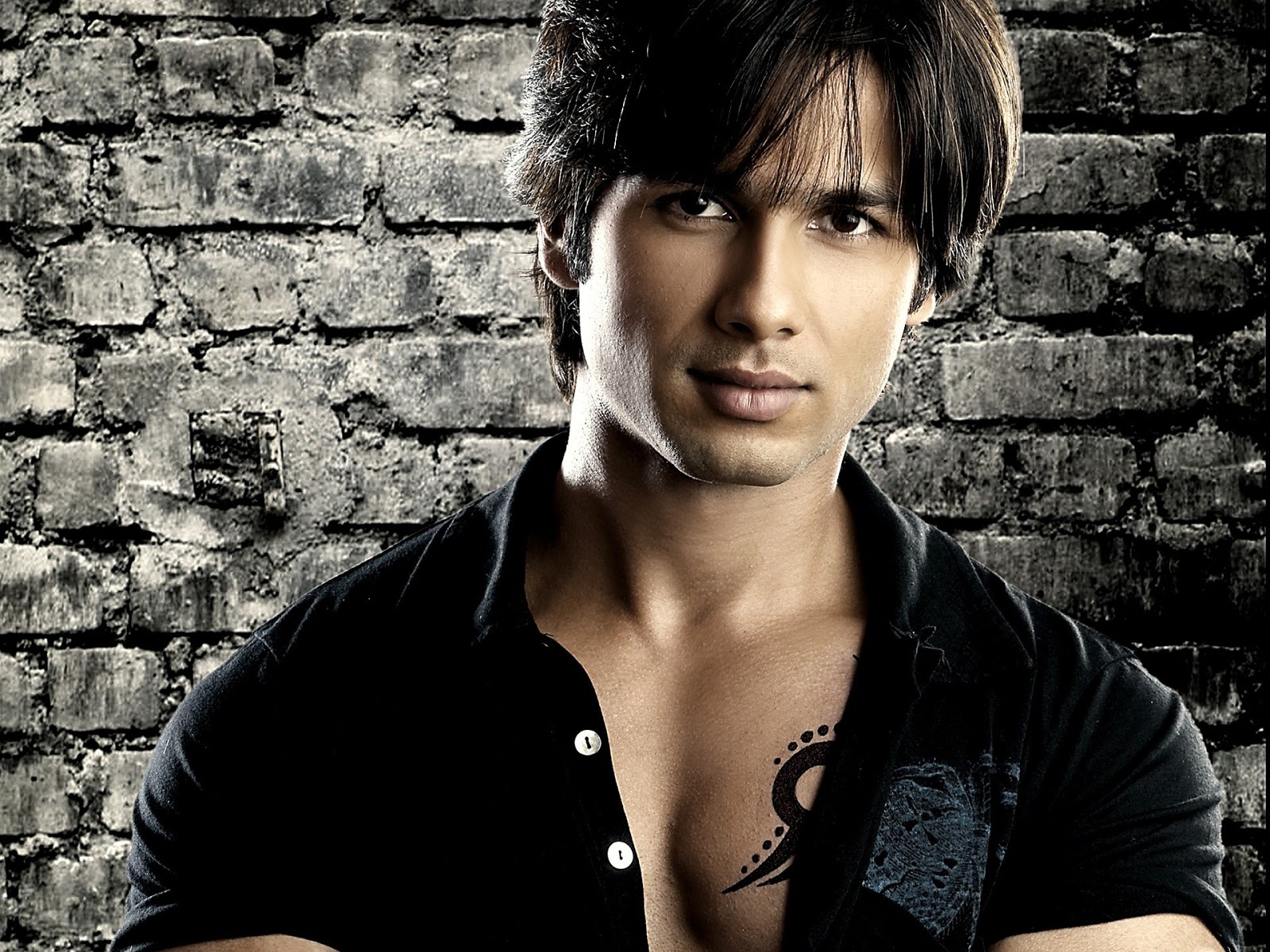 Shahid Kapoor Wallpapers Photos Download For Free..... - TOP HD ...