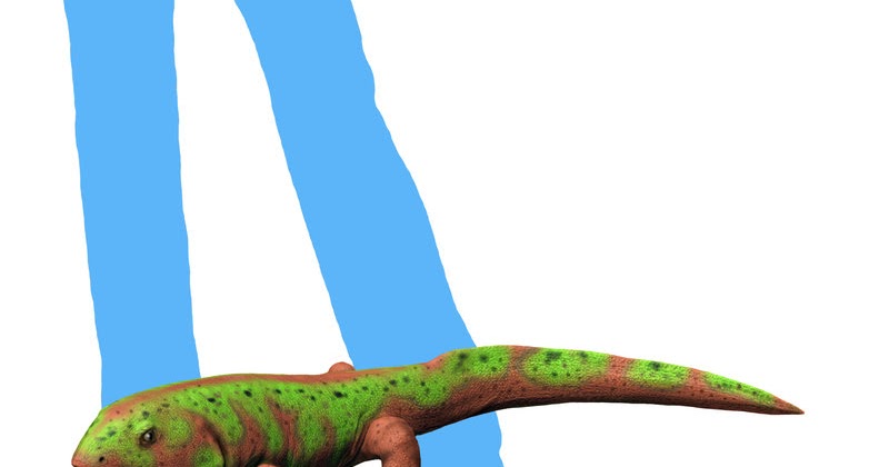 Escenarios prehistóricos: Pederpes