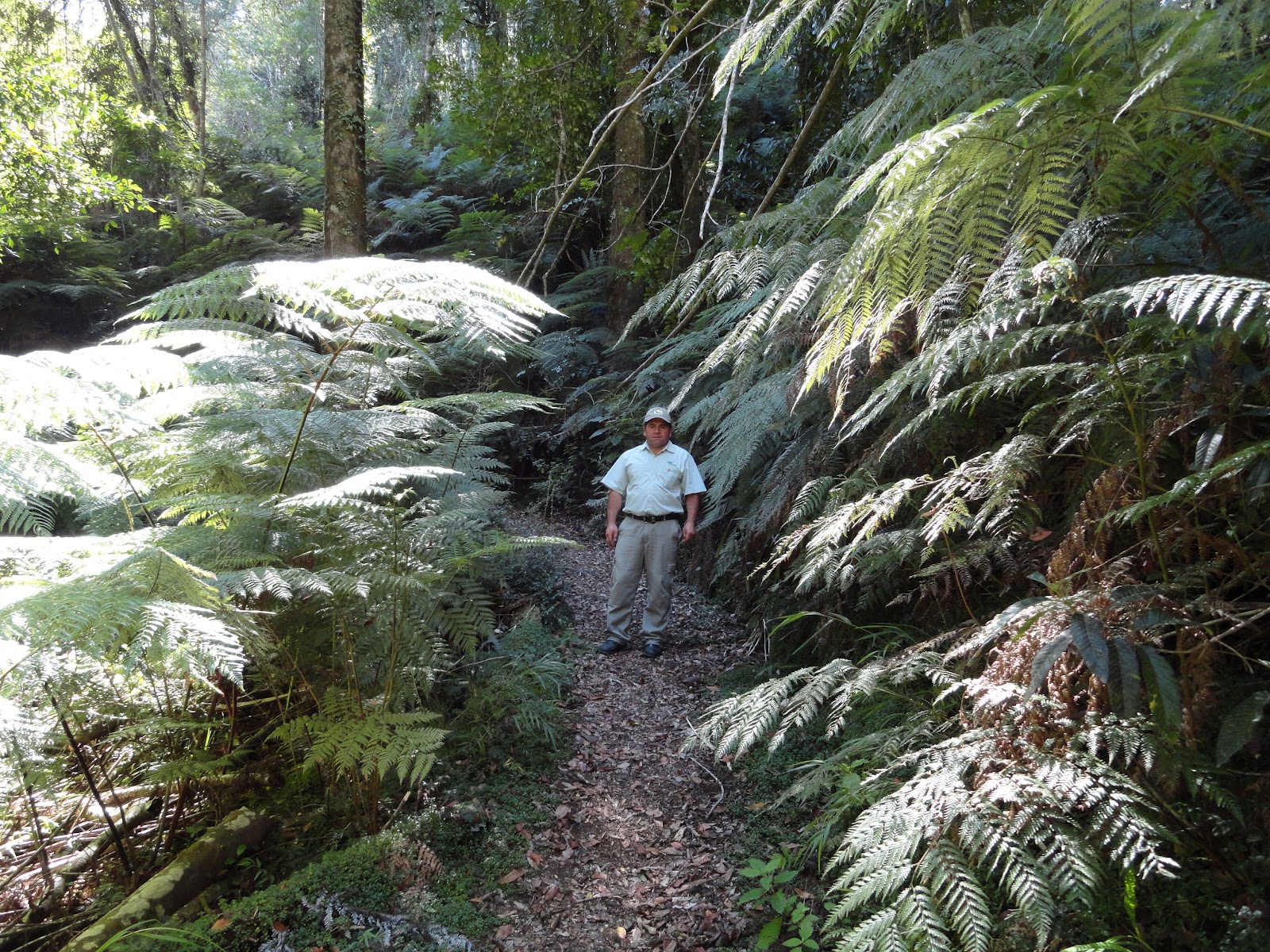 PARQUES DE LA IX REGIÓN DE LA ARAUCANIA - CONAF - CHILE - 2015 ...