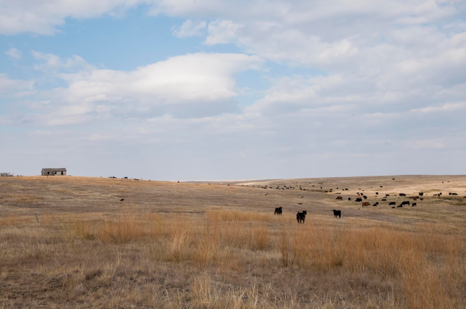 Wow Moments: Prairie Tour