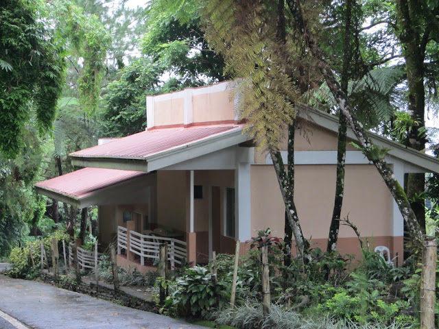 LEXICAL CROWN: MOUNT KANLAON CLIMB (GUINTUBDAN-GUINTUBDAN TRAIL)