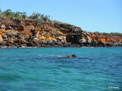 A Kimberley & Pilbara Adventure: Middle Lagoon