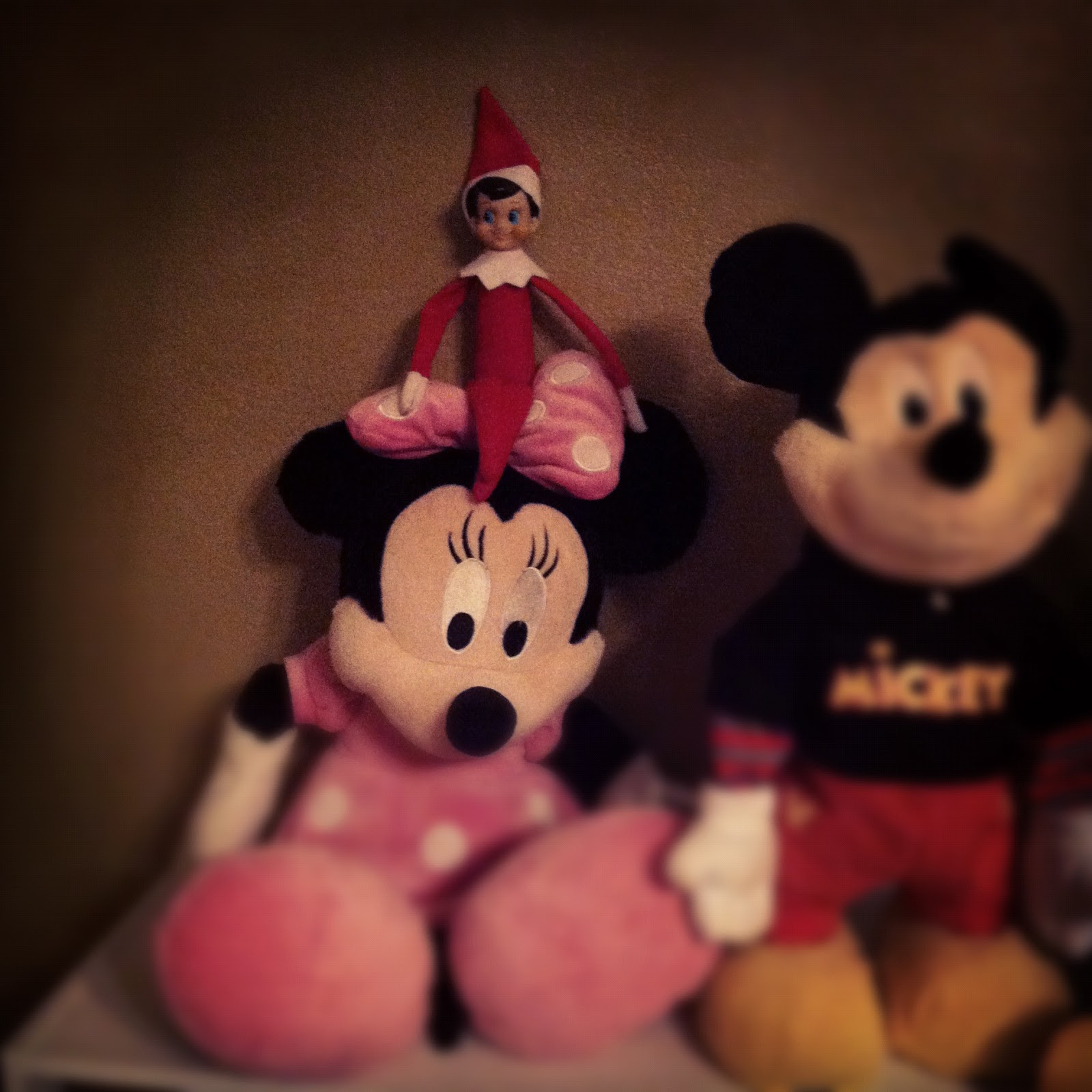 Bizzy B's: Woot Woot Wednesday