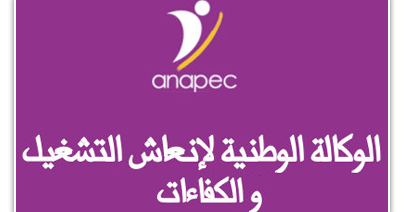 الفضاء التربوي: أنابيك: أهم الوظائف المعلن عنها يوم الجمعة 02 دجنبر ...
