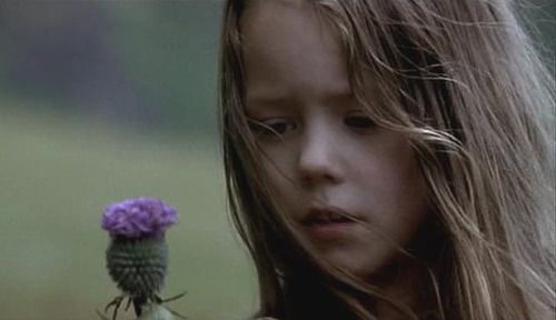 The Next Pauline Kael: Braveheart Review cont.