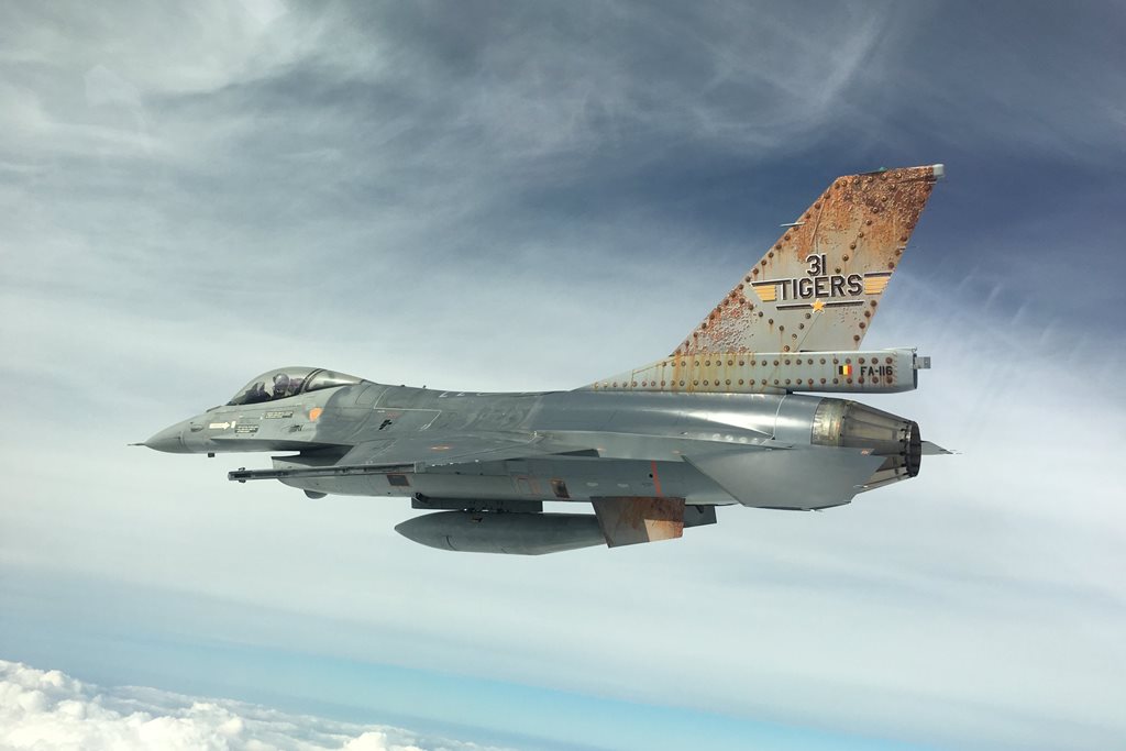 NATO Tiger Meet 2019: here is a preview of some tiger-painted aircraft ...
