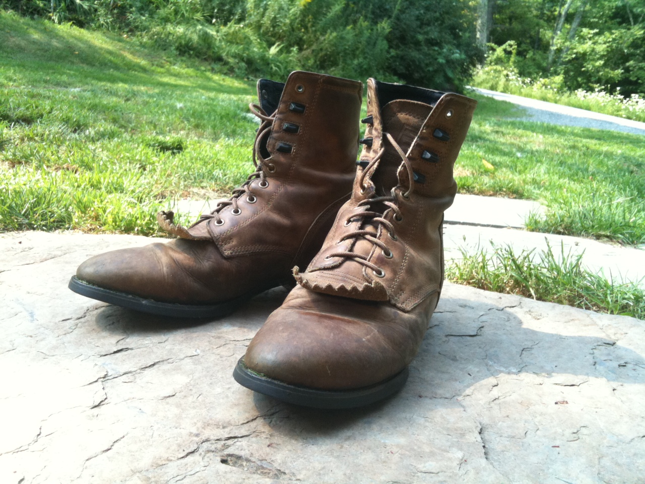 coldantlerfarm: a boot story