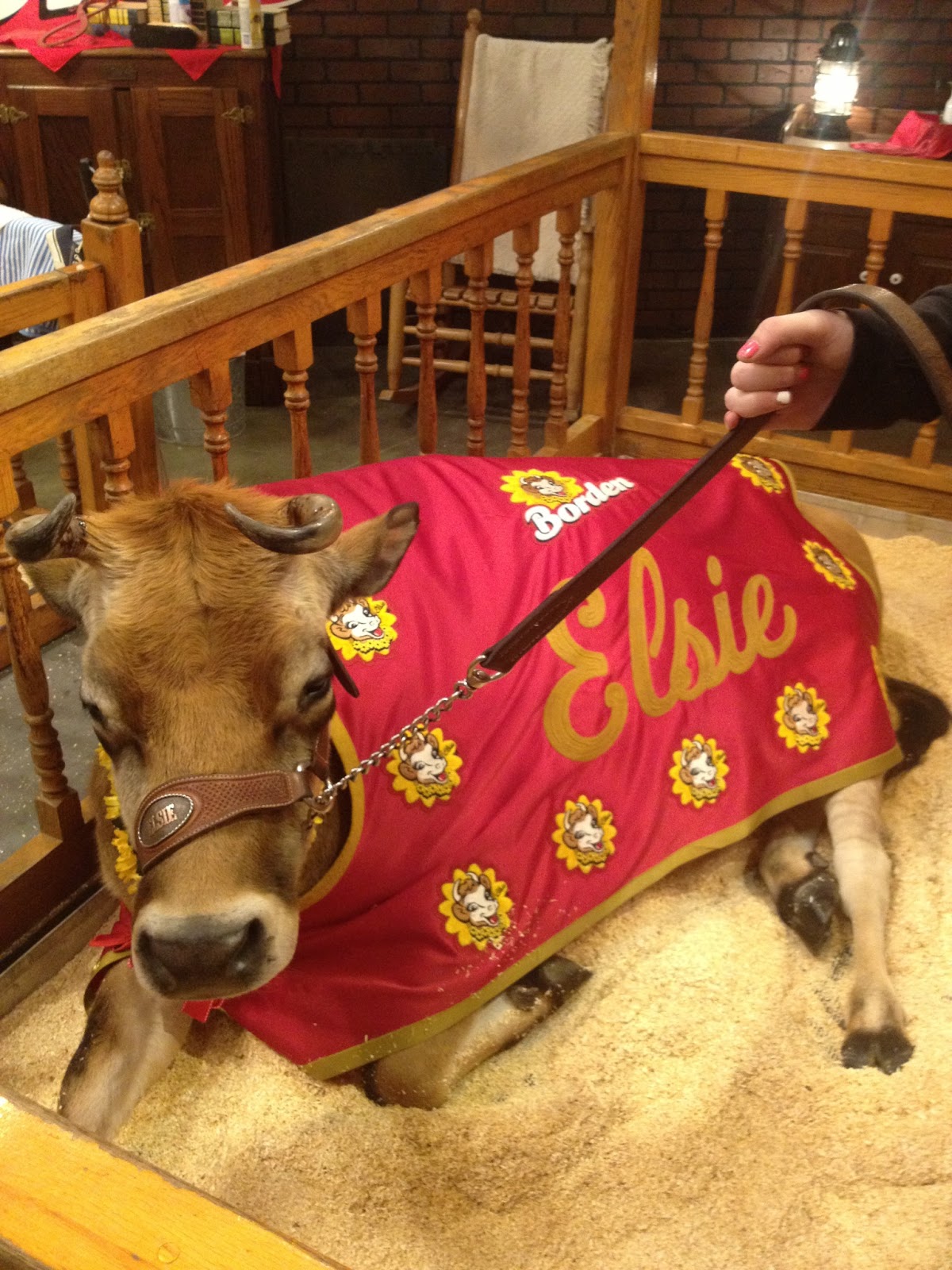 Elsie The Cow Real