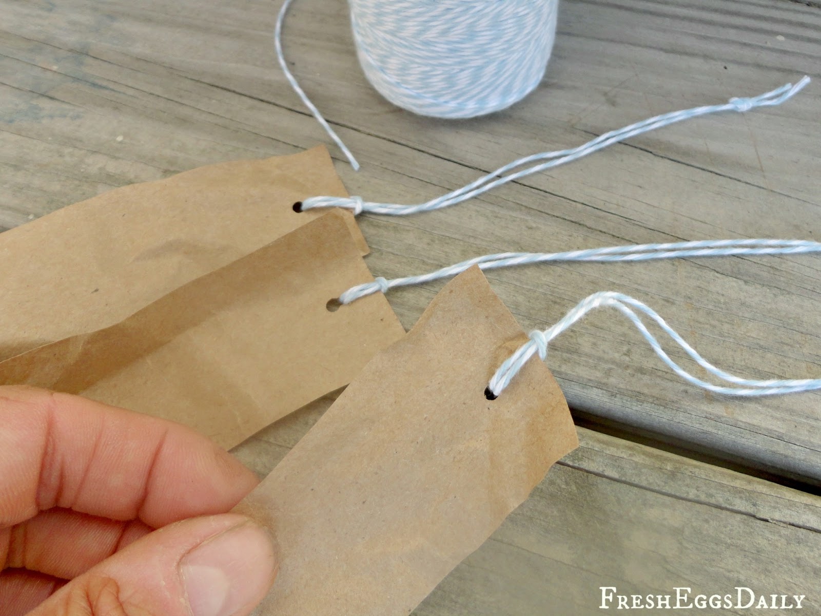 Natural Ways to Control Flies without Chemicals - Fresh Eggs Daily ...