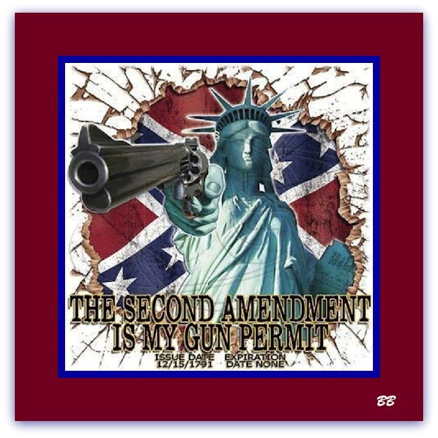 Army of God: THE HISTORY OF THE SECOND AMENDMENT