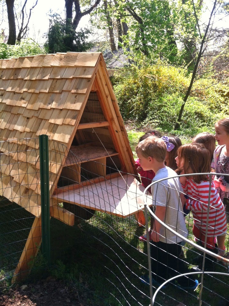 Ben's Natural Building: Redesigning the Chicken Ark: Unadilla Community ...