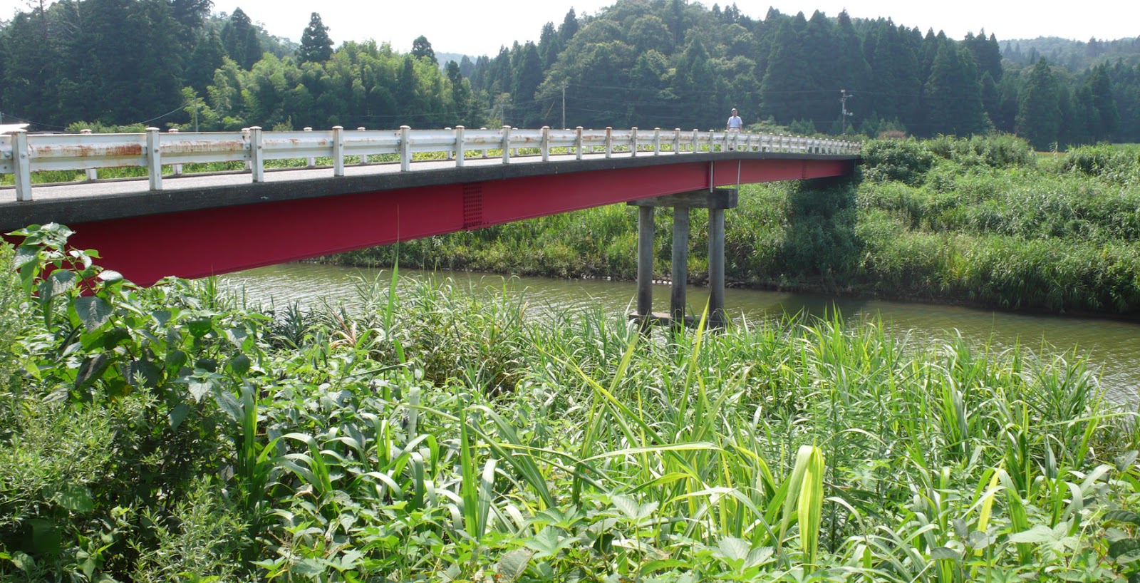 Bridge of the Week: Niigata Japan's Bridges: Two Steel Bridges across ...