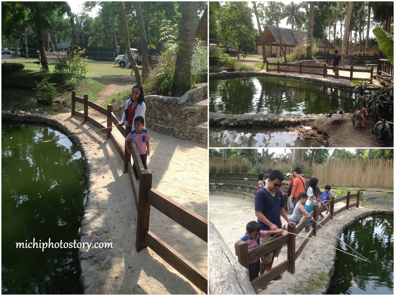 Michi Photostory: 7 Things that you Can Do in Fun Farm at Sta Elena
