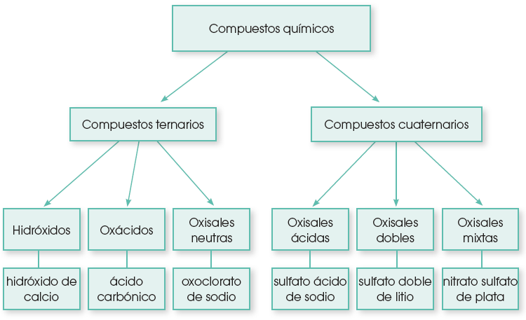 Esquema De Compuestos Quimicos - arbol