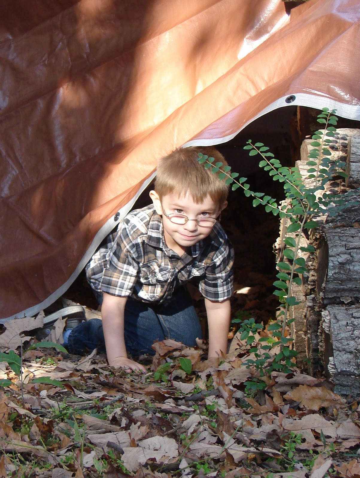 Childhood Beckons: Fun With Fort Building