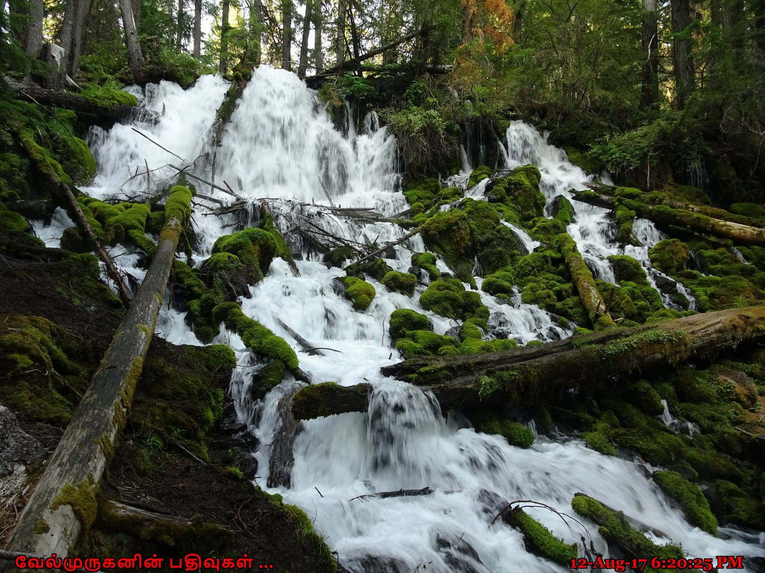 Clearwater Falls Oregon - Exploring My Life
