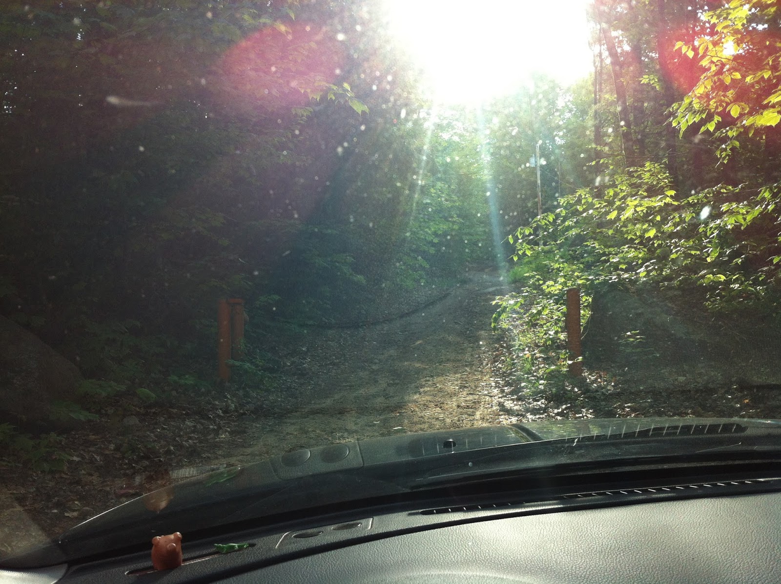 a life more awesome: Caverly Mountain