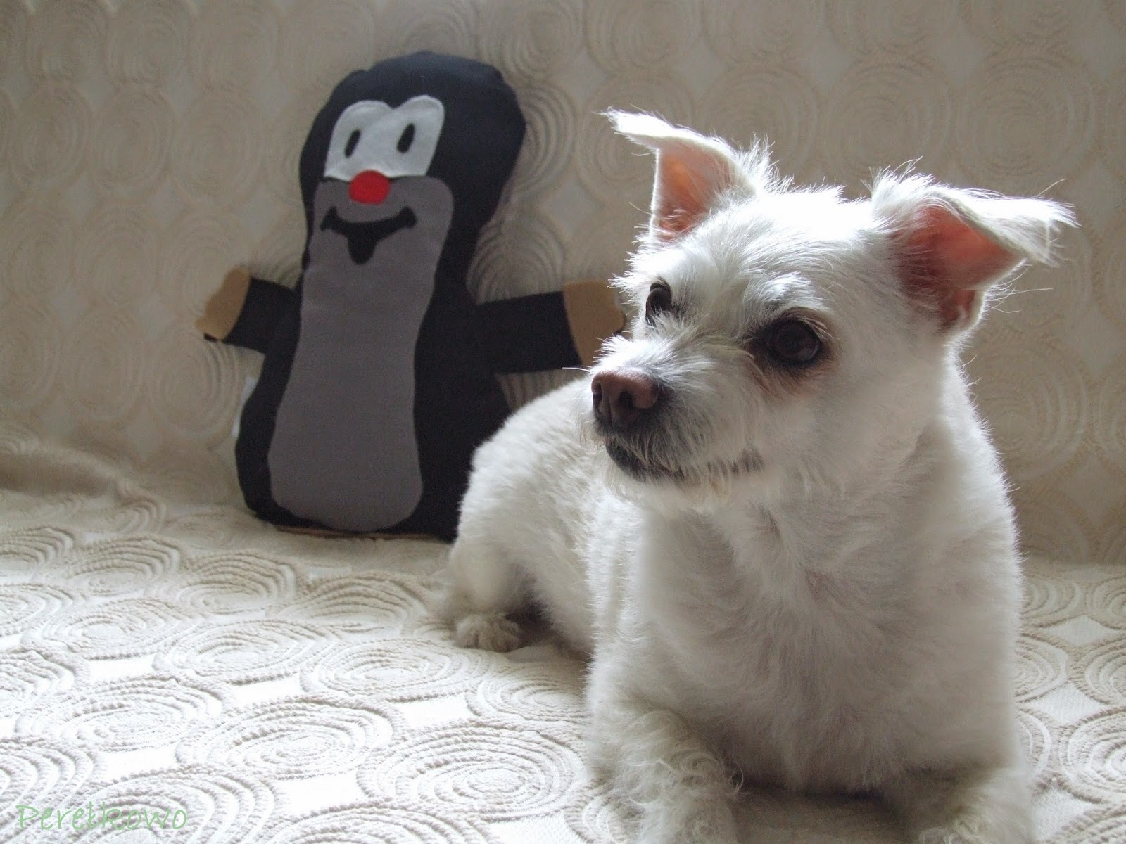 Perełkowo - poduszki: 13# Pan Kret