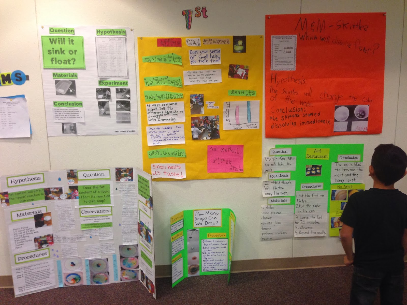 Keep Teaching and Planning!: Fun at the Science Fair!