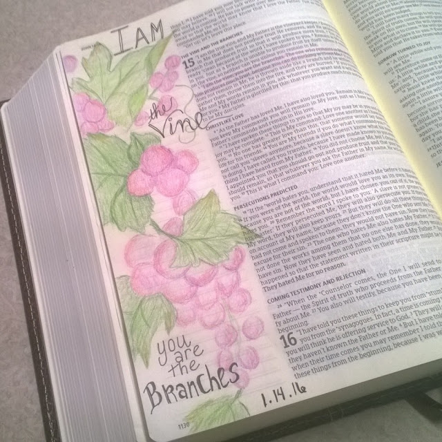 Bible Art Journaling & Notetaking With The HCSB Notetaking Bible