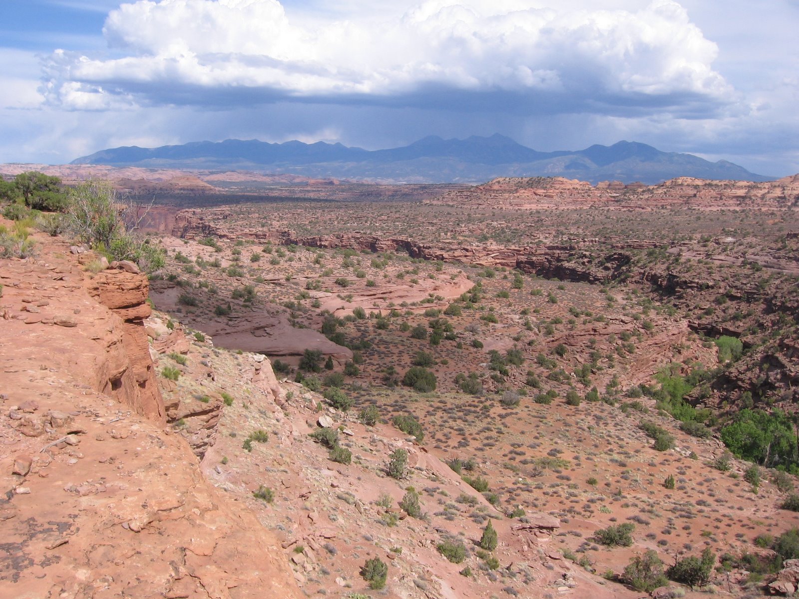 Four Corners Hikes-Canyonlands: Trough Springs Trail in Canyon Rims