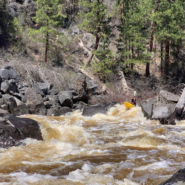 Into the Outside: Sycan River: Coyote Bucket
