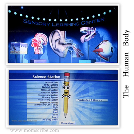 Science DVD Collection from Rock N Learn: Physical Science, Human Body ...