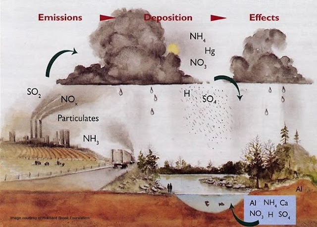 WHAT ARE THE CAUSES OF ACID RAIN? |The Garden of Eaden