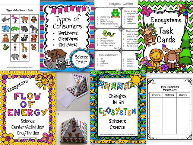 Mrs. C's Classroom: 50% OFF SALE: SCIENCE BUNDLES