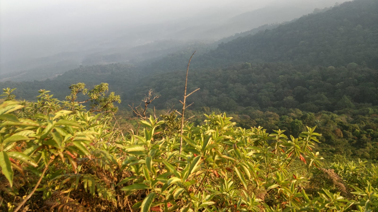 COORG CUISINE AND CULTURE: COORG NATURE PHOTOS