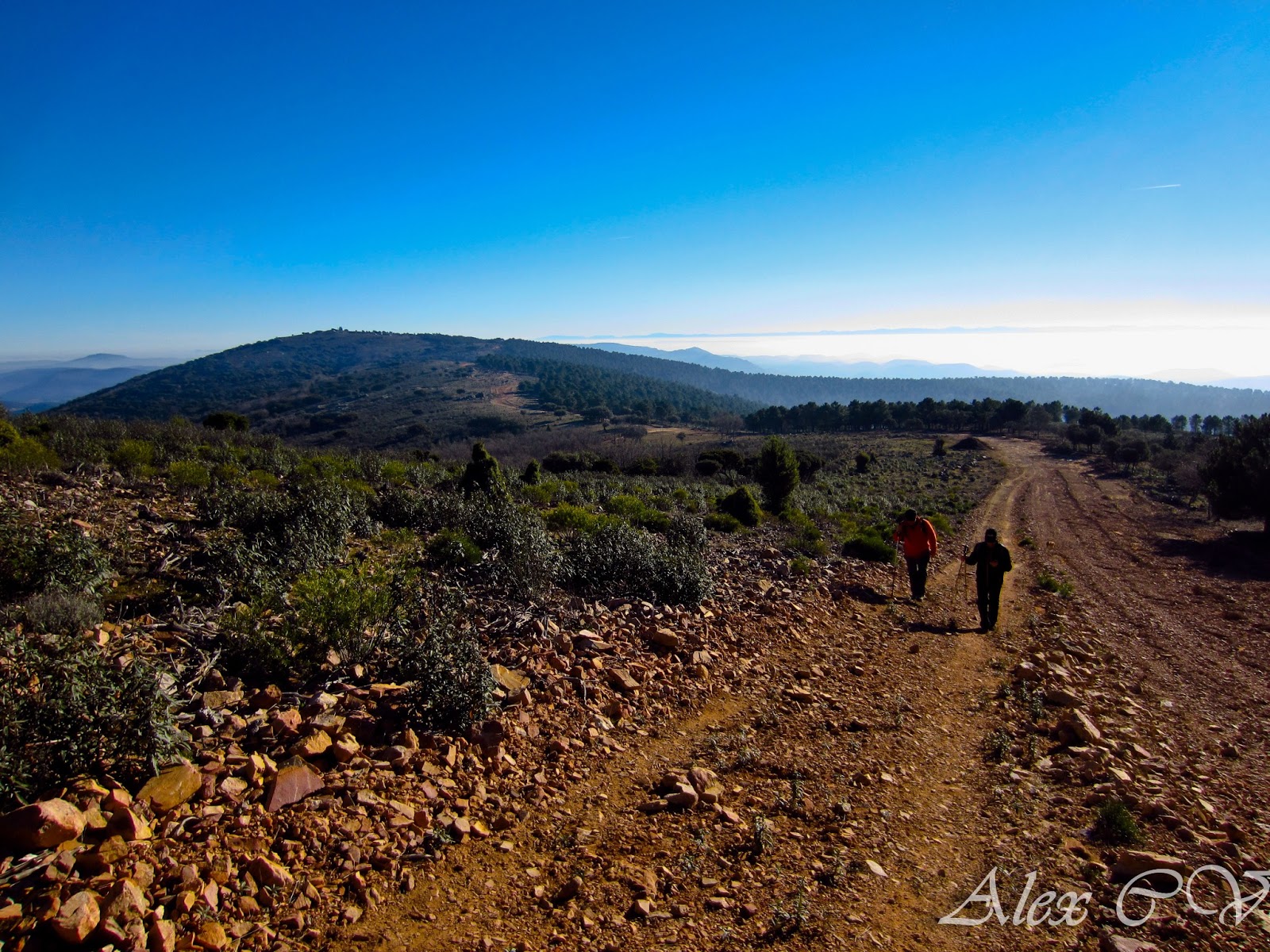 POR LOS CERROS DE ÚBEDA: PICO ESTRELLA DESDE MIRANDA DEL REY ...