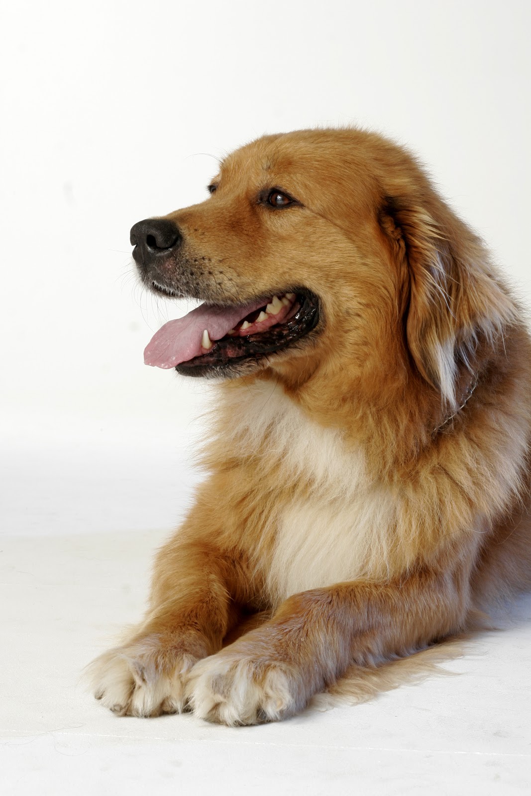 Servus !: November 2012