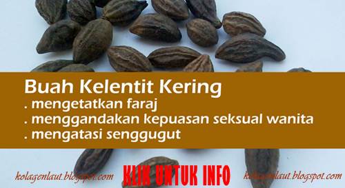 Shahkb Online: Whatsapp 017 930 6329: Khasiat Halba (Fenugreek) yang ...