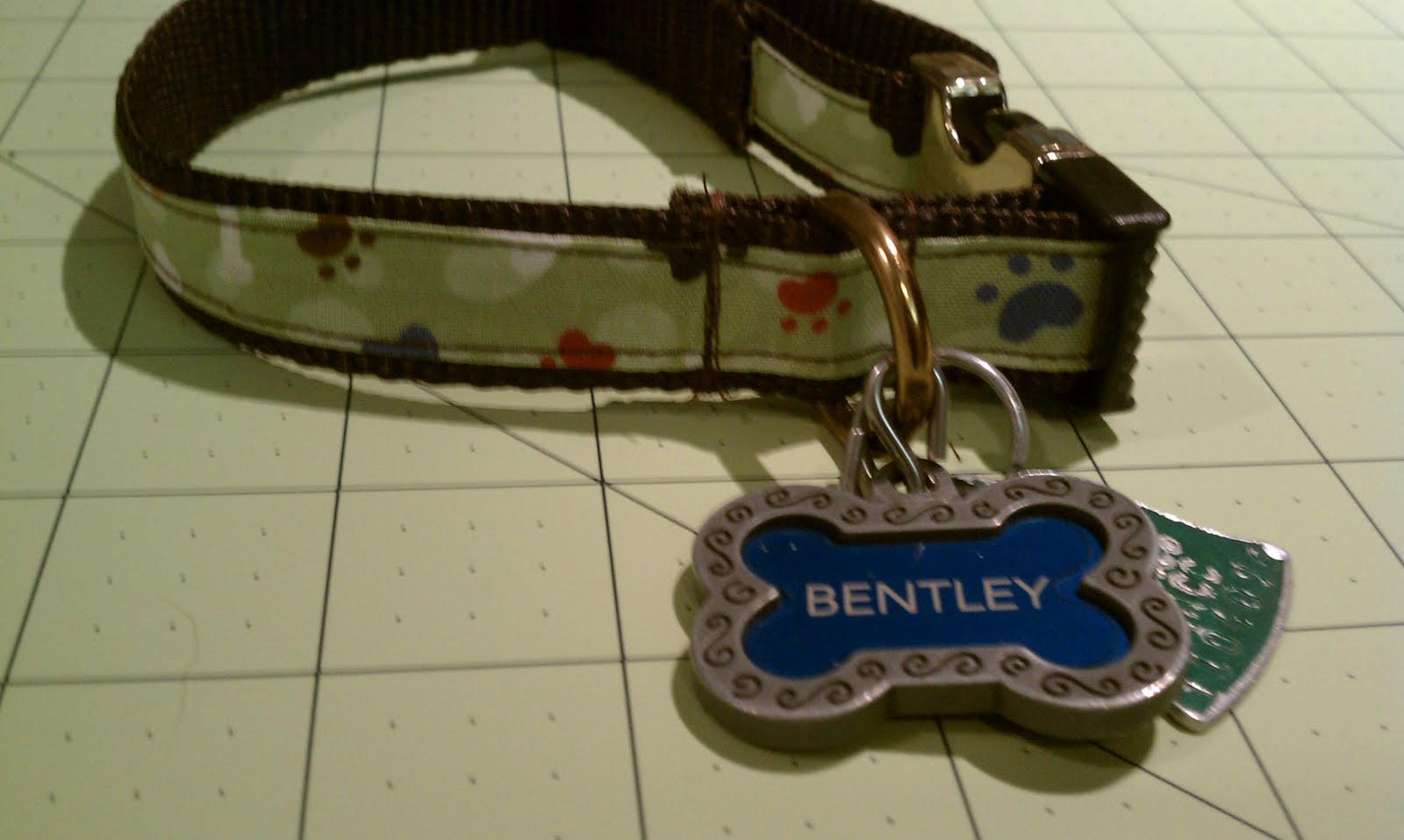 the goose goofs off: portfolio