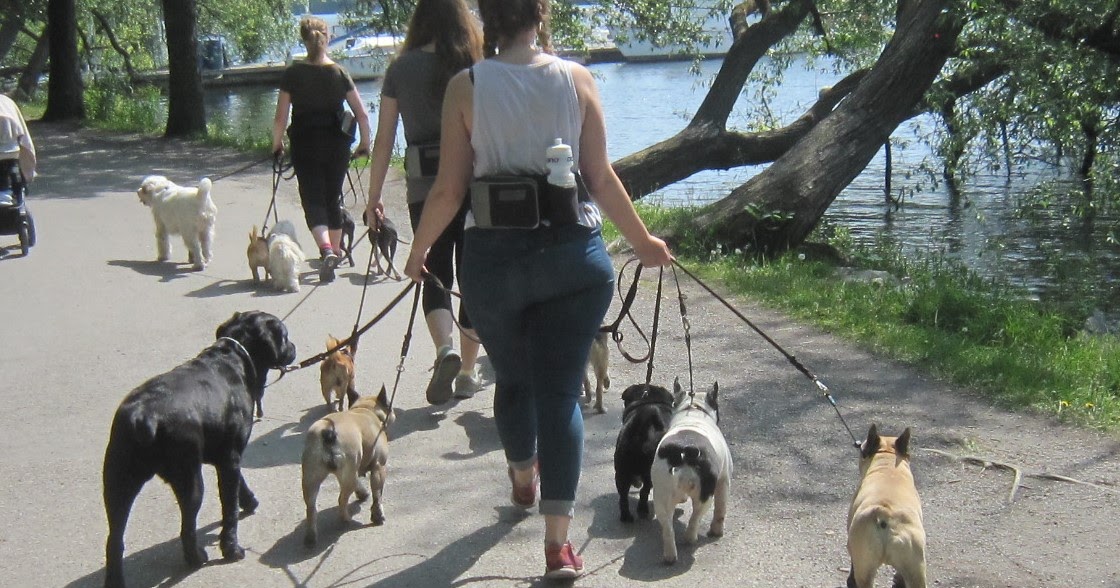 Klimakterie häxan: På promenad med dagis
