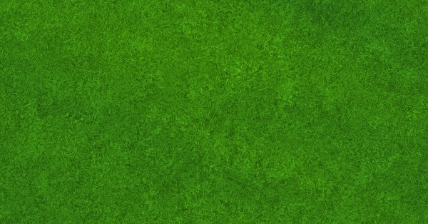 Bright Soul Graphics: FREE SEAMLESS FOLIAGE GRASS VIDEO GAME TEXTURES ...