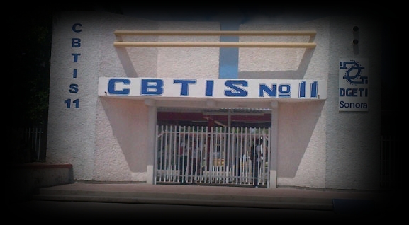 "Problemas y Zonas de Riegos en el Plantel Cbtis 11"