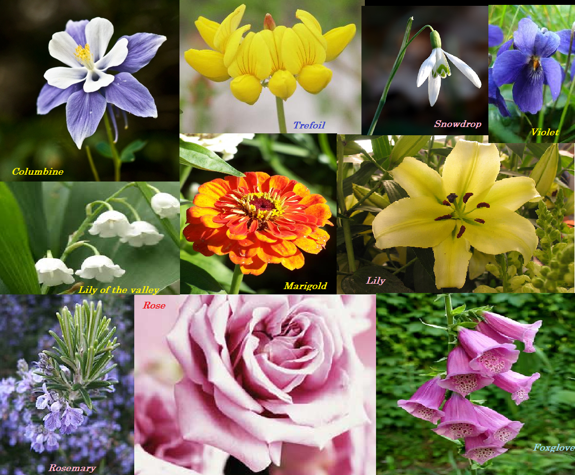 Faithful Resources for all Christian: Garden of the Blessed Virgin Mary