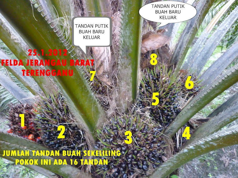 BAJA KELAPA SAWIT,GETAH DAN BUAH-BUAHAN