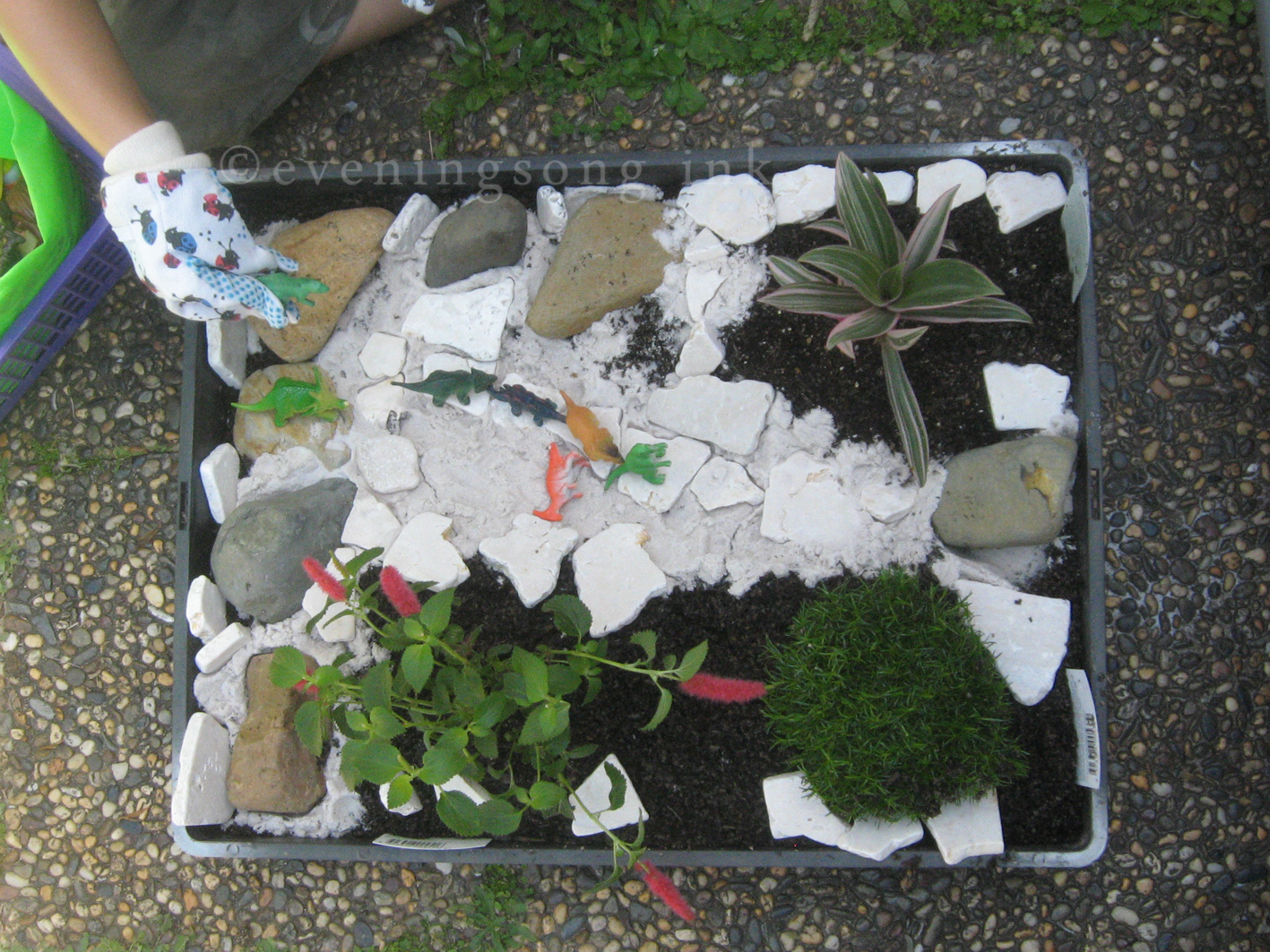 Eveningsong Ink: A miniature dinosaur garden - tutorial