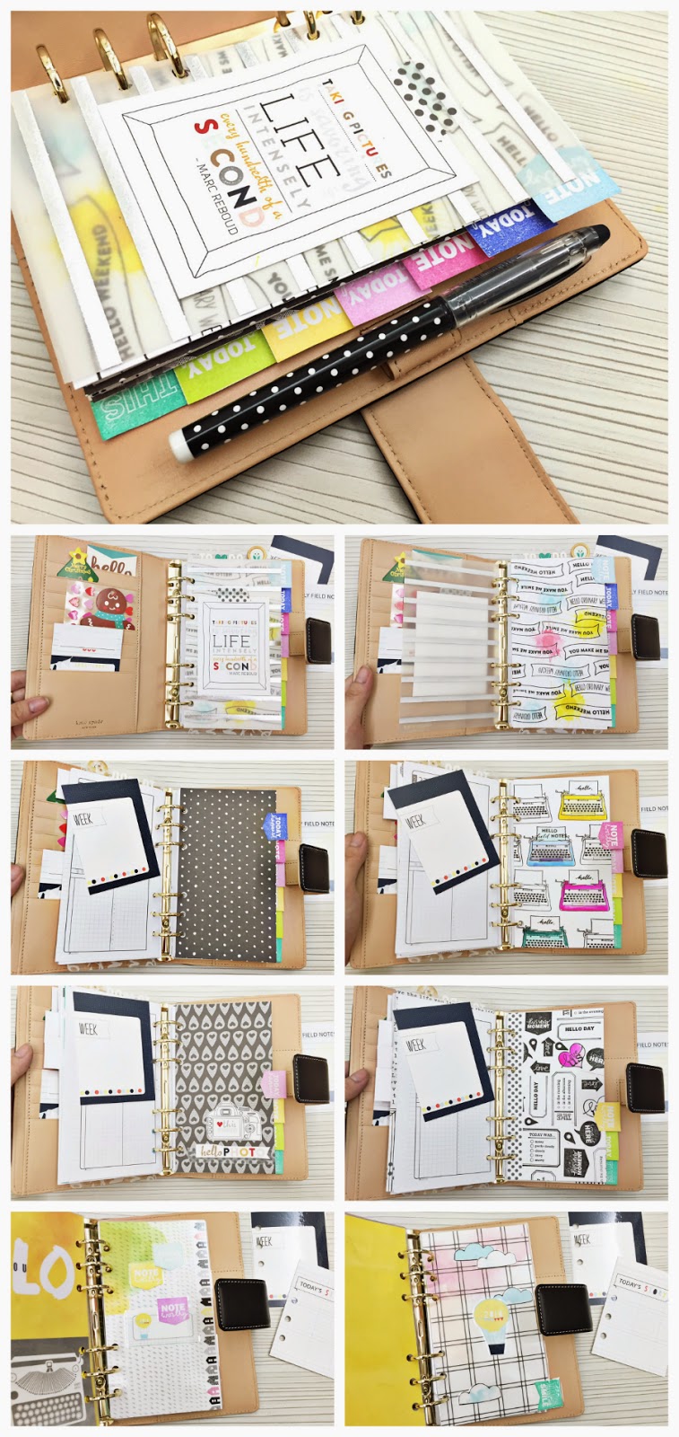 shopEvalicious.com: Rainbow Planner Tabs | Inspiration