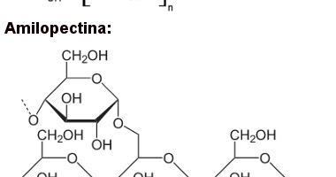 Mundo da Bioquímica (blog sobre bioquímica): Amido
