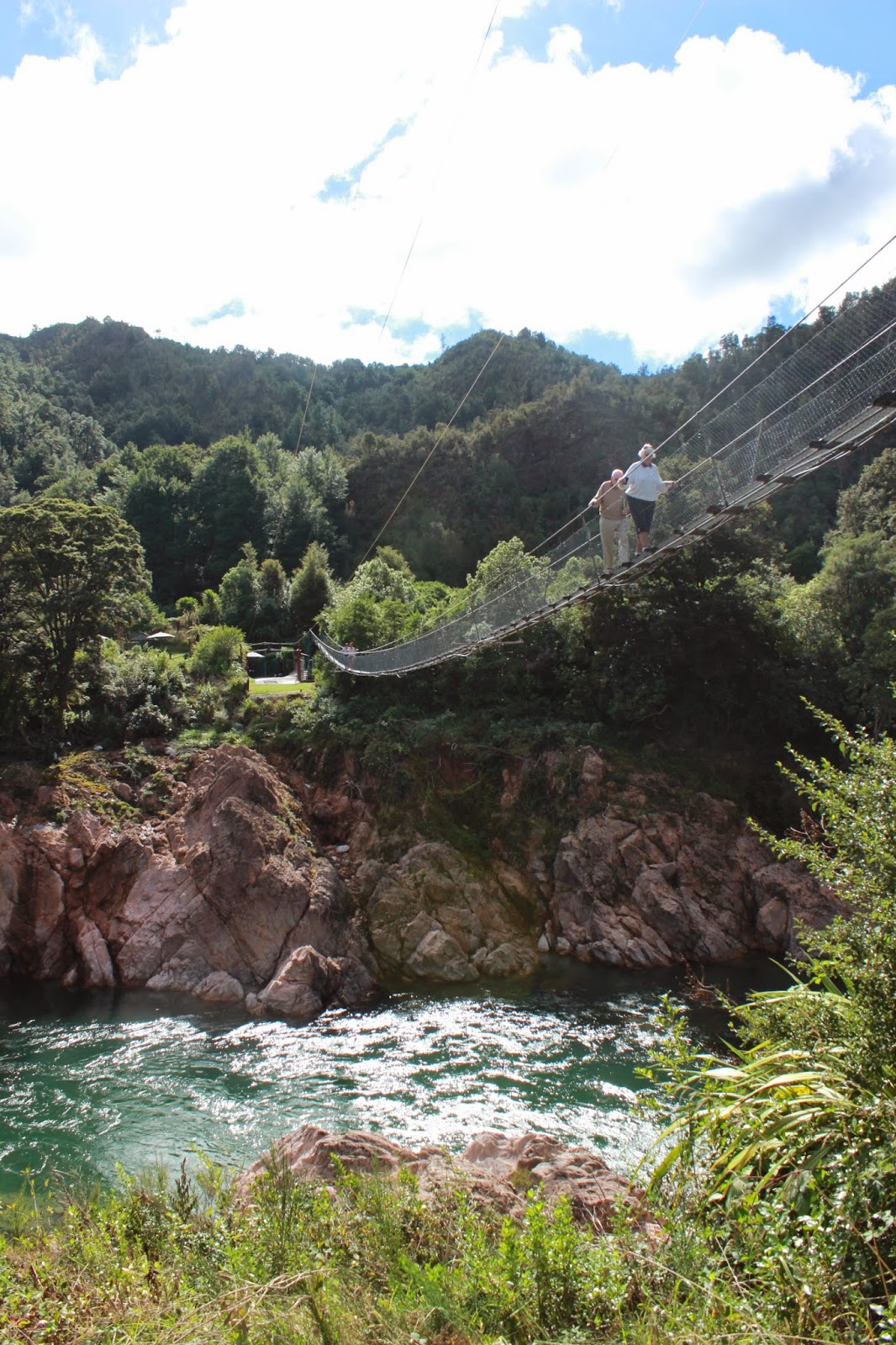 Frogs Like Kiwis: The Buller Gorge Swing Bridge