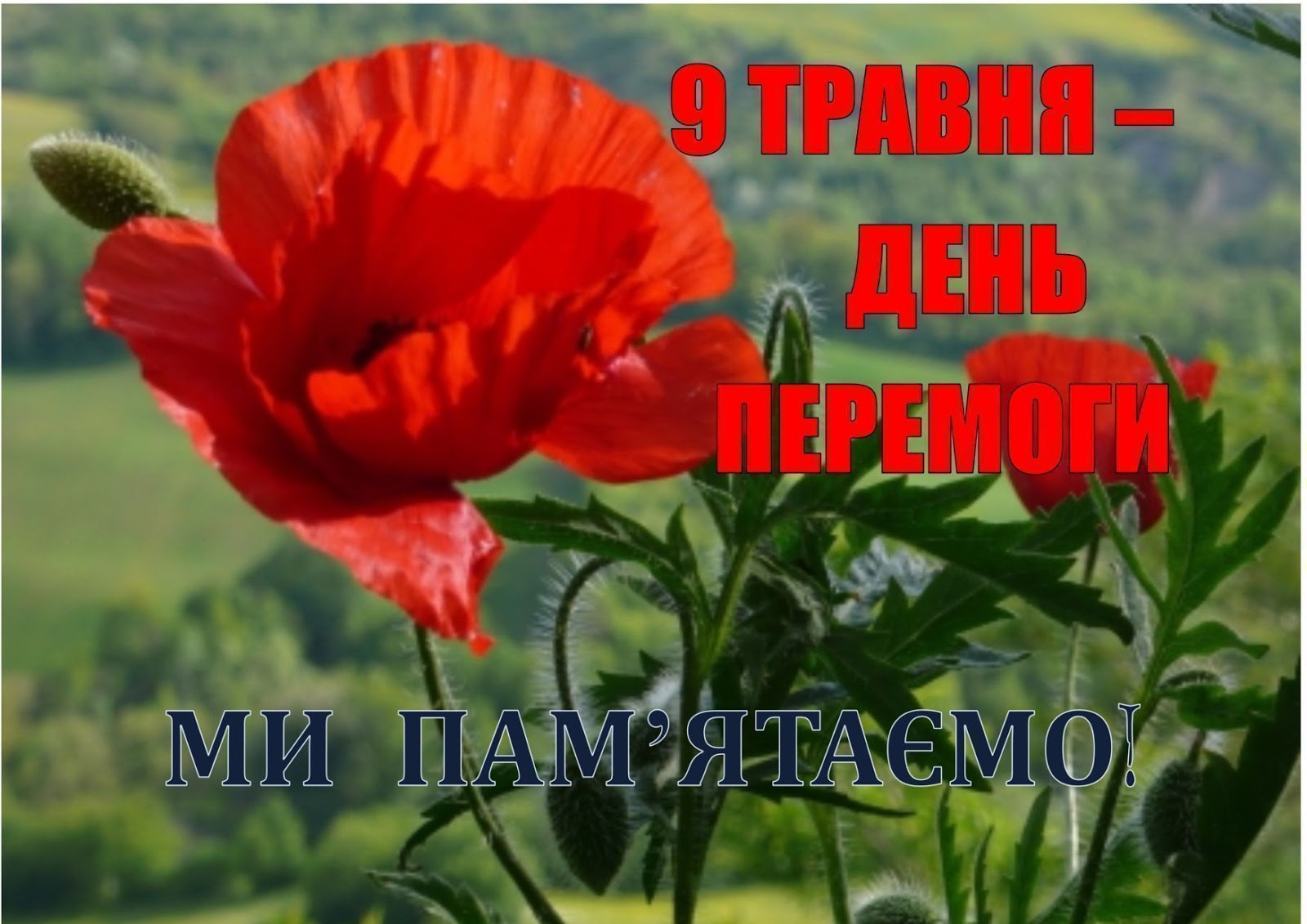 Блог вчителя початкових класів Макарчук Алли Володимирівни