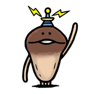 Nameko